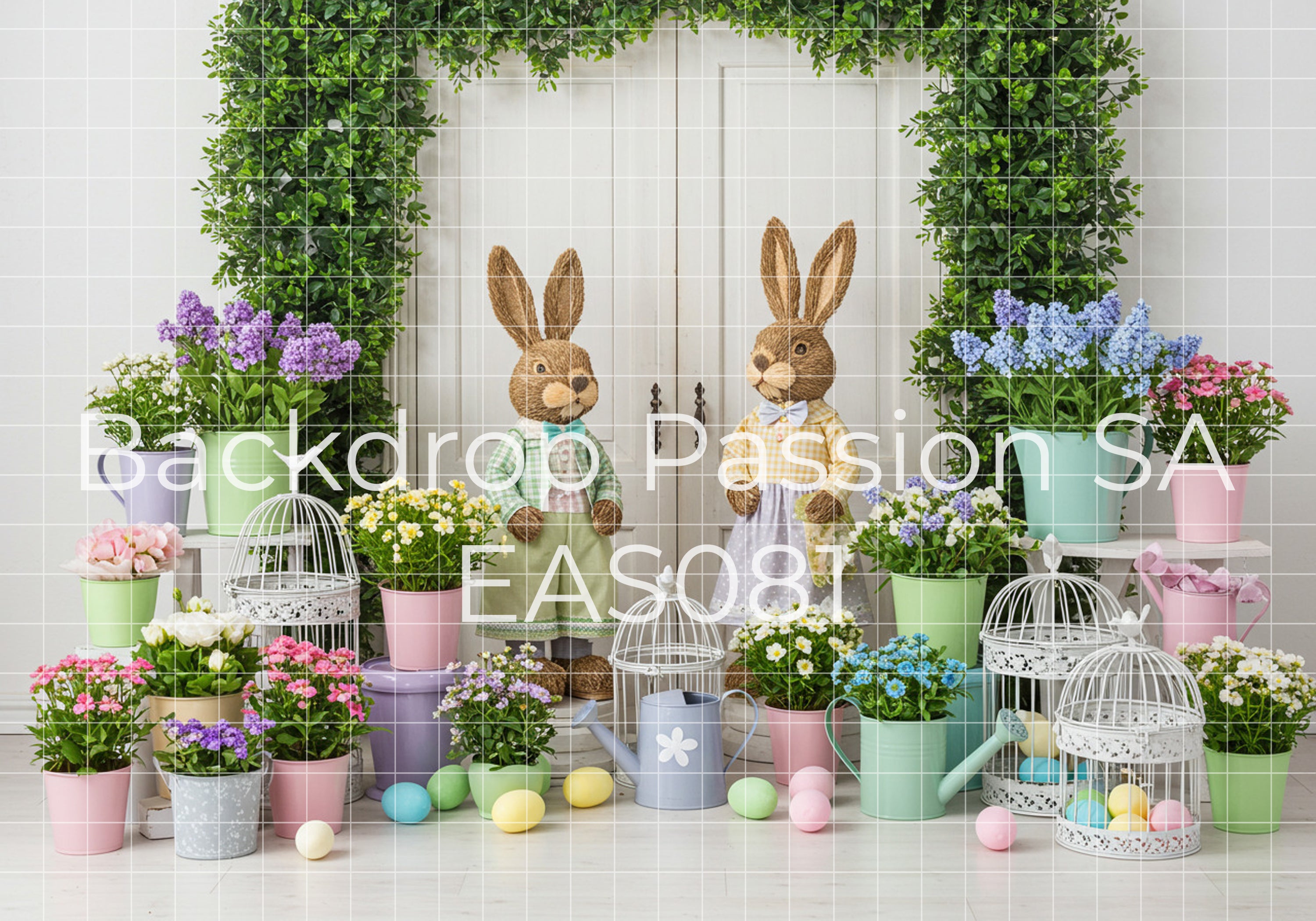 EAS081 – Backdrop Passion SA