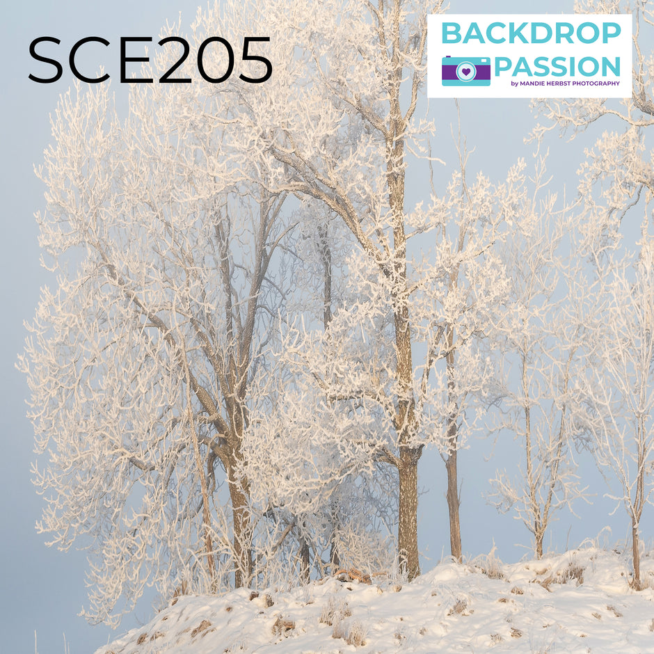 Winter – Backdrop Passion SA