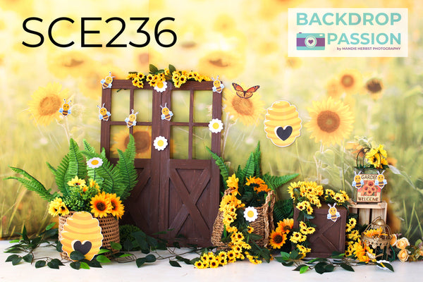 SCE236 – Backdrop Passion SA